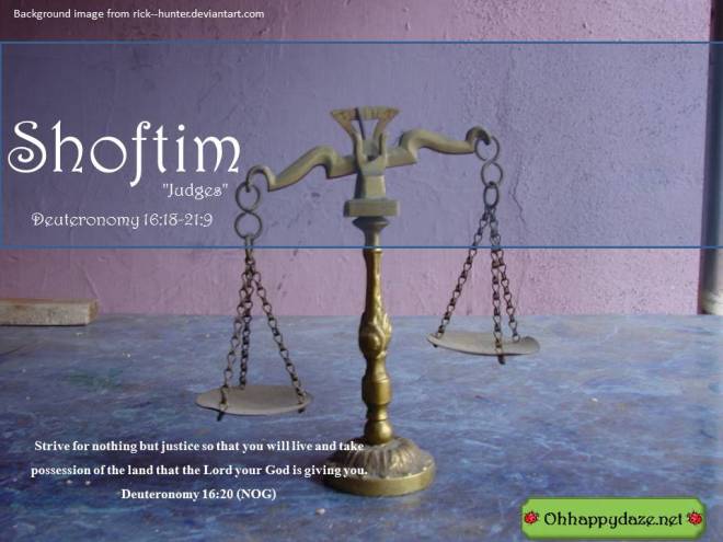 Torah Portion – Shoftim – “Judges “ | Oh Happy Daze