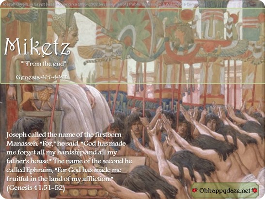 Torah Portion – Miketz "From the end " | Oh Happy Daze